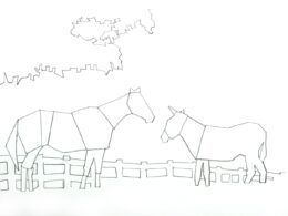 Animal Tracing: A Fun Drawing Exercise – Craftwhack