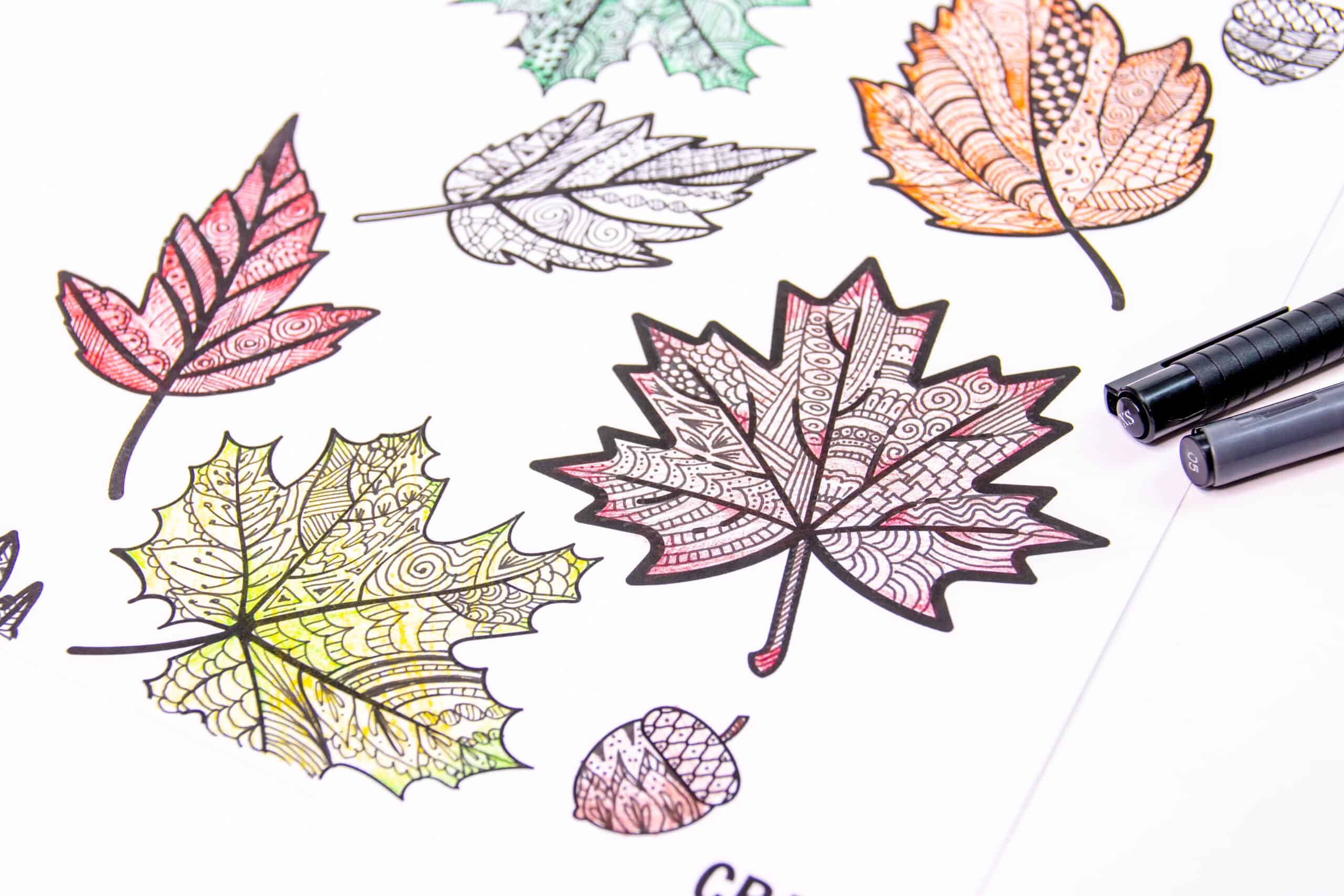Beautiful Zentangle Fall Leaves DIY