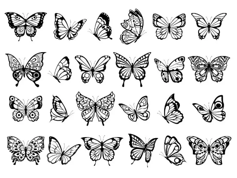 How to Draw a Beautiful Butterfly – Craftwhack
