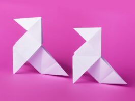 Fun Pigeon Crafts for All Ages – Craftwhack