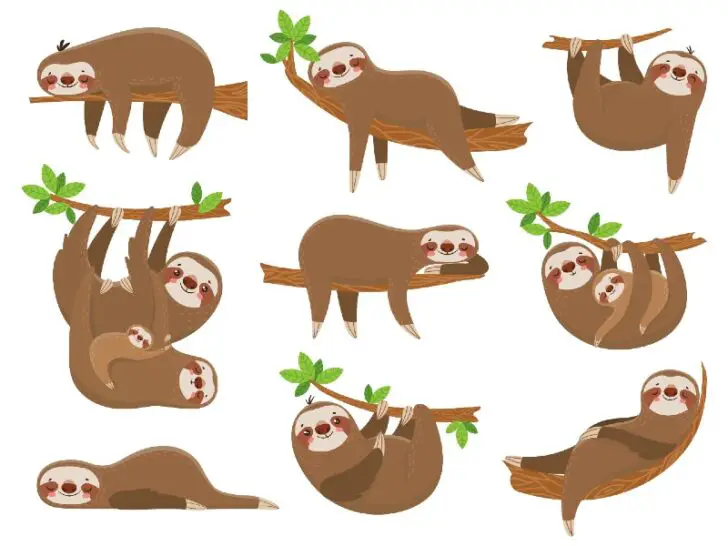 Wonderful DIY Sloth Crafts for Any Age – Craftwhack