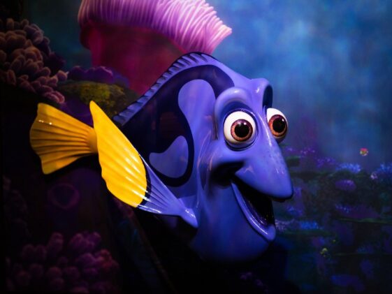 5 Easy “Finding Dory” Crafts To Enjoy With Your Kids – Craftwhack