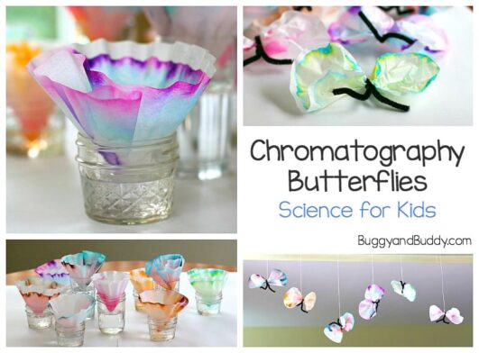 The Best Water Crafts for Kids – Craftwhack