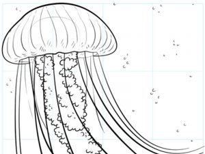 38 Cool Ocean Drawing Ideas – Craftwhack